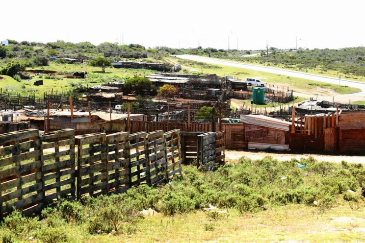 Bedryf bekommerd oor varkpes-uitbraak in die Tuinroete - LNN ...